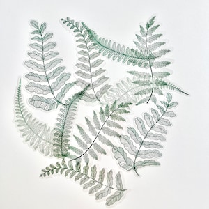 10 LARGE Translucent Green Line Art Leaf Leaves Sticker - Clear Backing ...