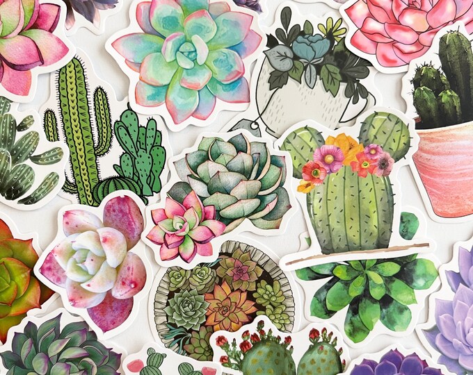 Succulent Sticker, Succulents, Succulent Stickers, Plant Stickers ...