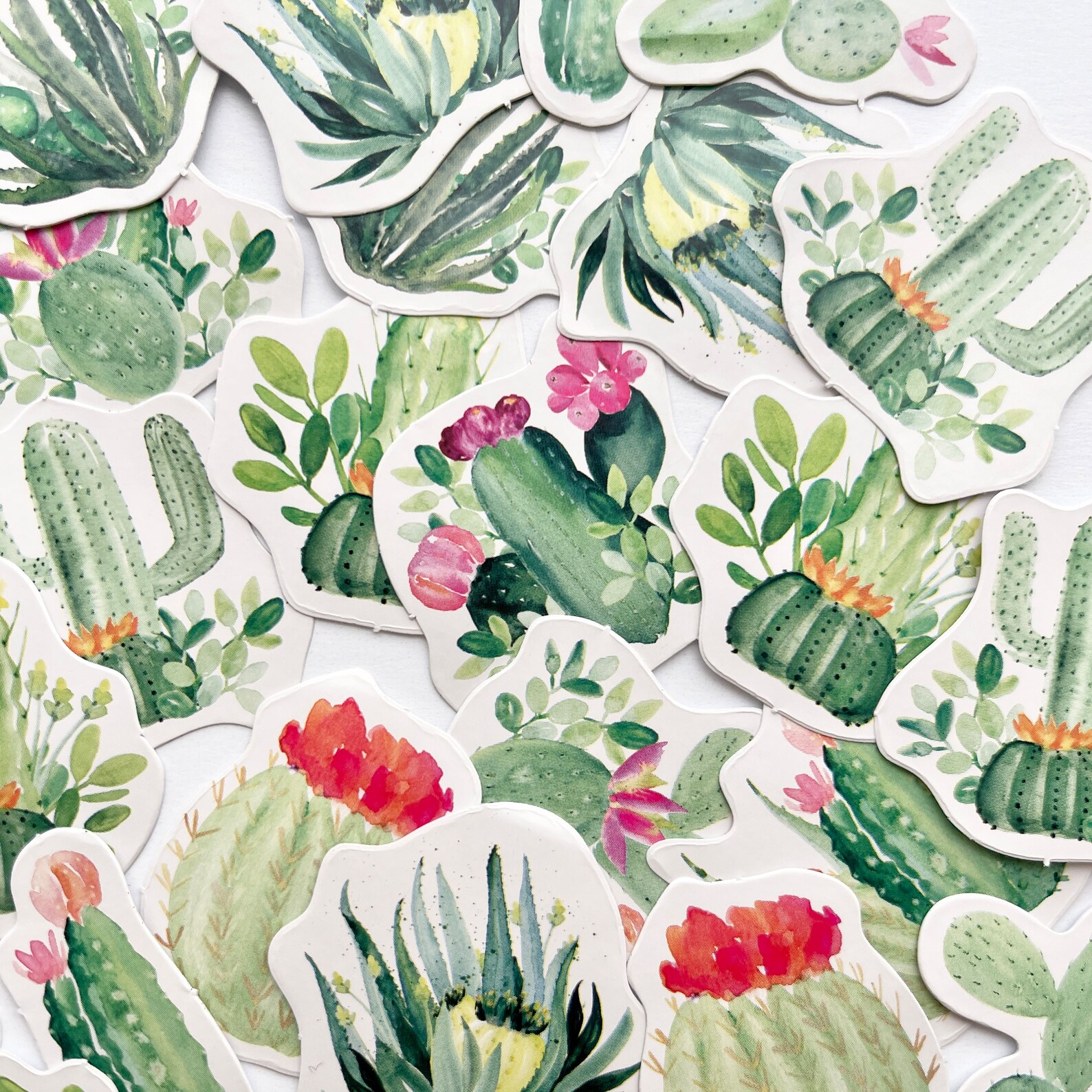 45 MINI Cactus Succulent Stickers - Adorable Petite Floral Cactus ...