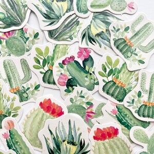45 MINI Cactus Succulent Stickers - Adorable Petite Floral Cactus ...