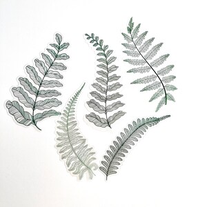 10 LARGE Translucent Green Line Art Leaf Leaves Sticker - Clear Backing ...