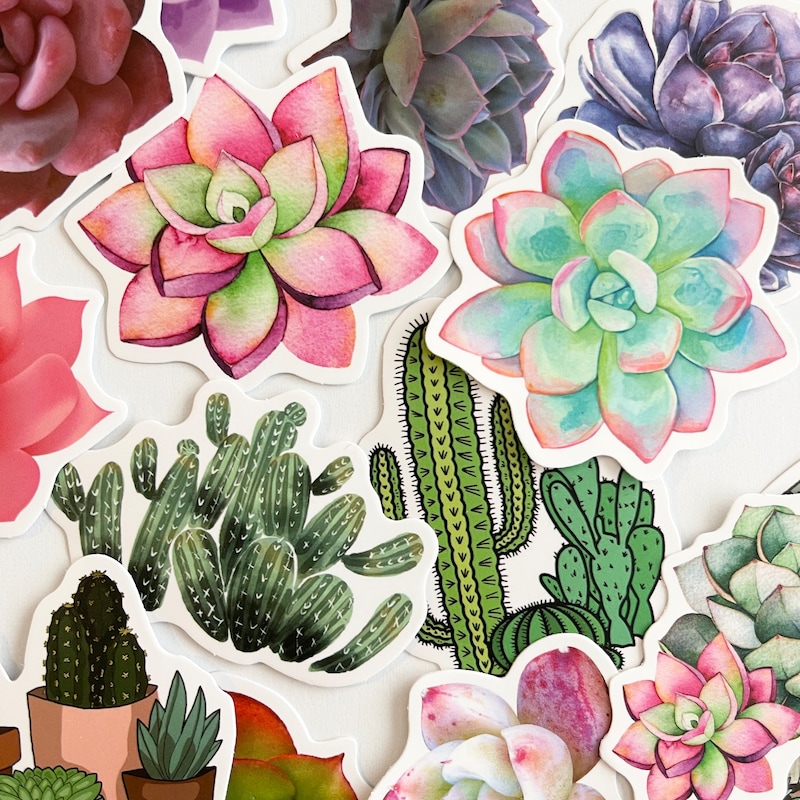 Cactus Stickers - Etsy