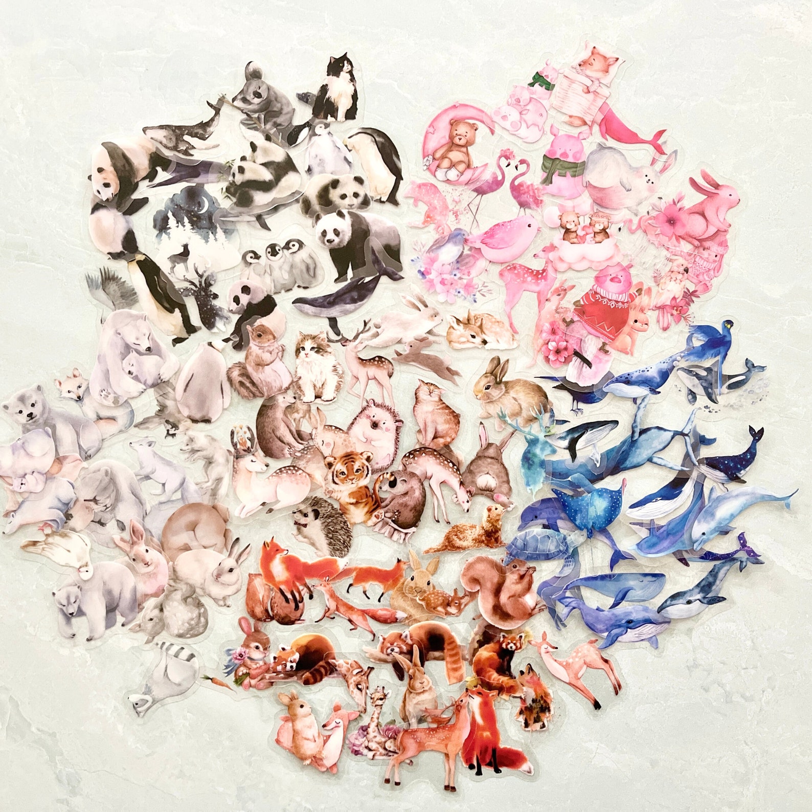 36 Clear Animal Themed Stickers 6 Color Designs Slightly - Etsy