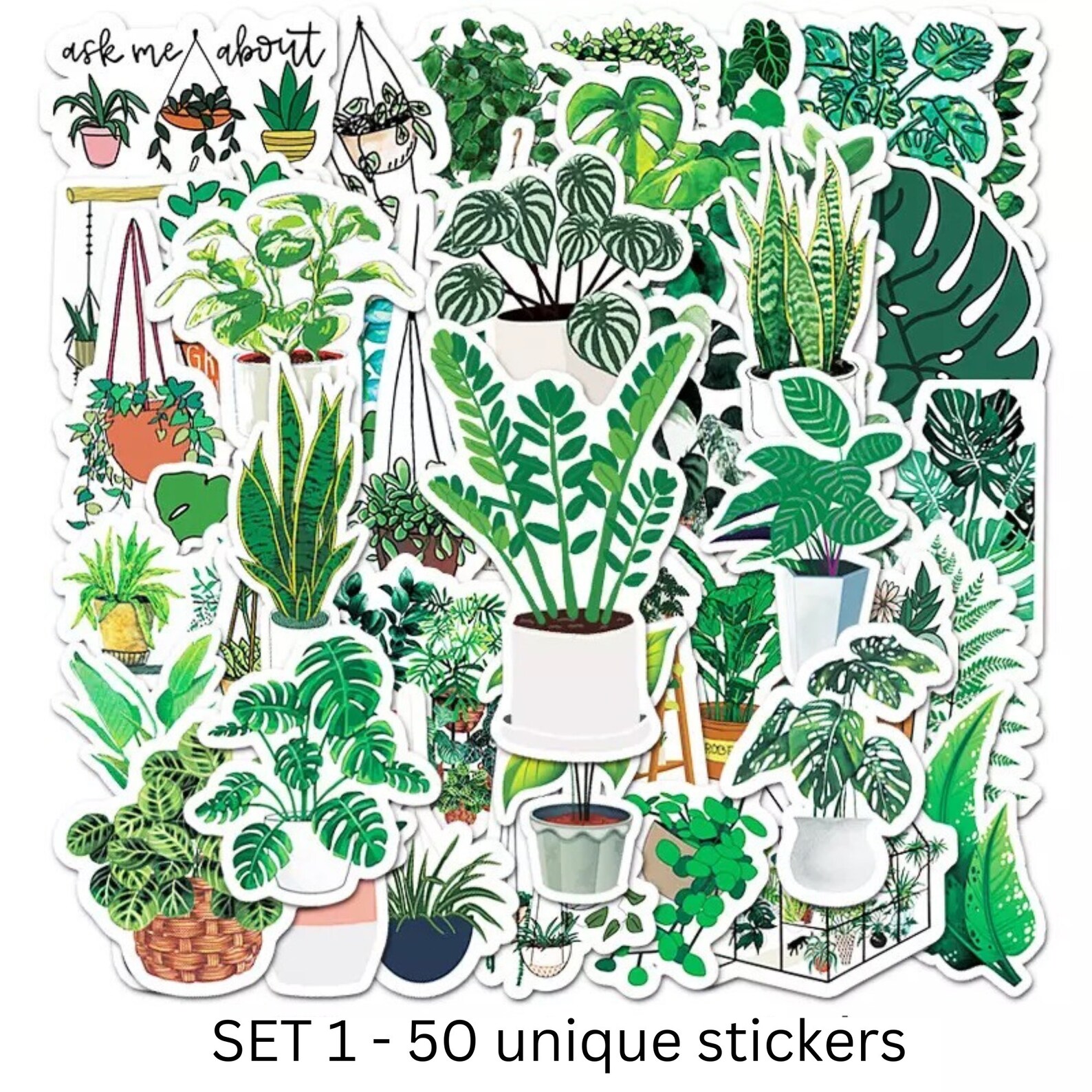 Boho Plant Stickers House Plant Stickers Love of Plants - Etsy