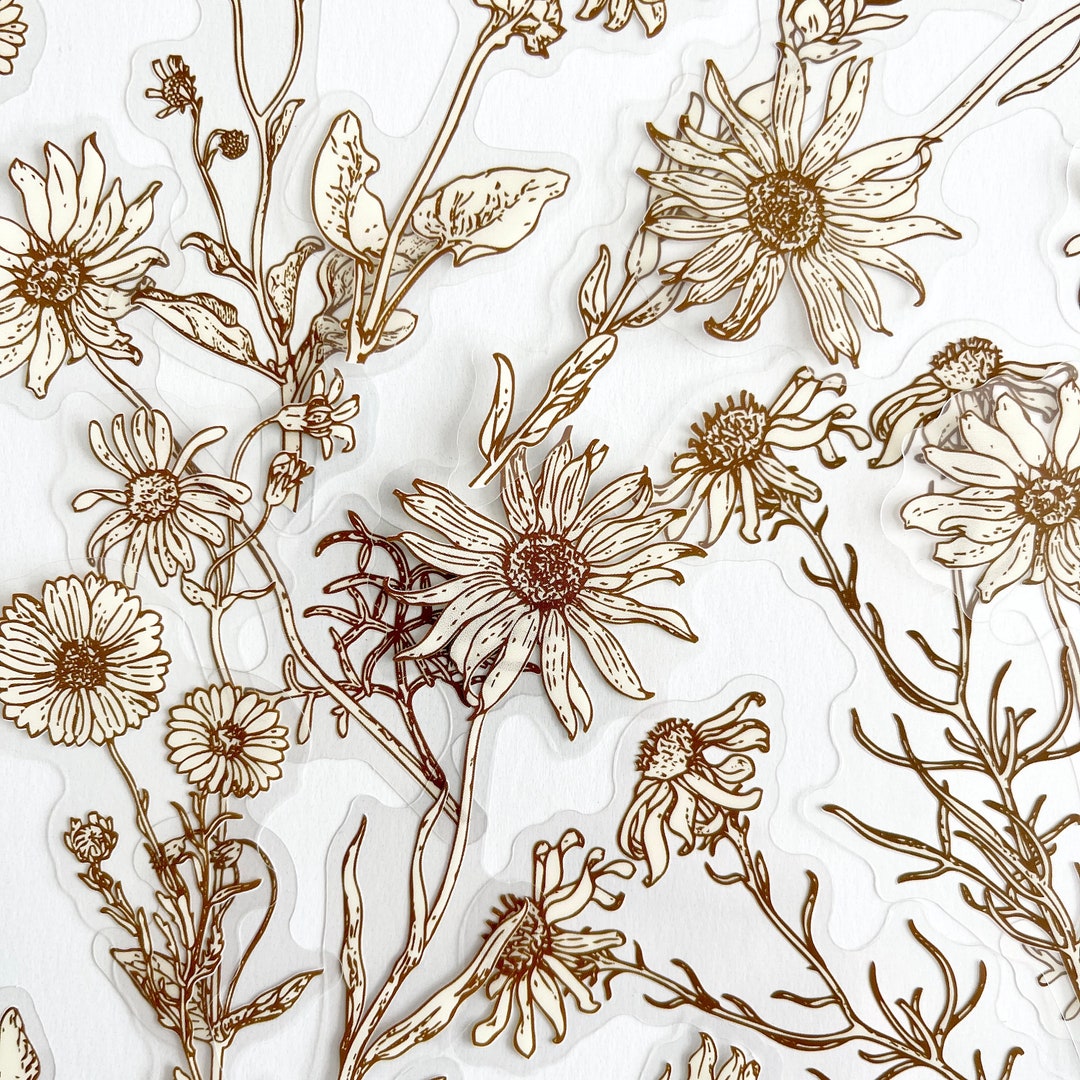 20 LARGE Translucent Brown White Line Art Flower Stickers - Clear ...