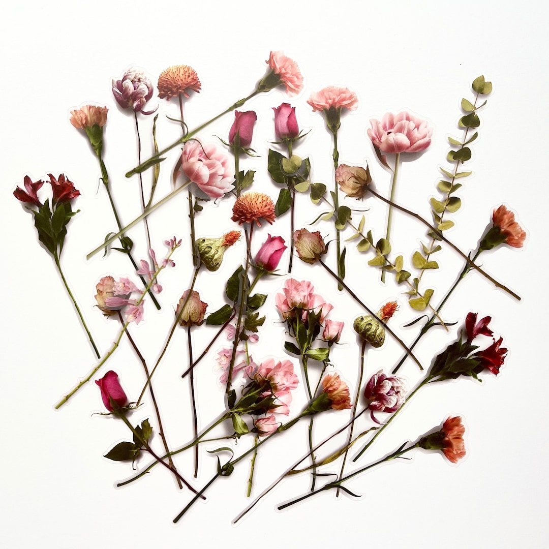 30 Large Translucent Pink Red Flower Stickers - Clear Backing Floral ...