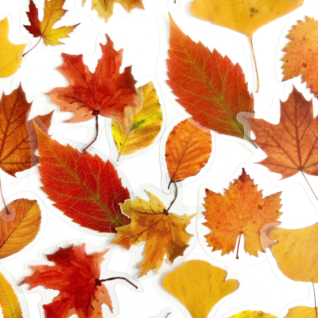 40 Clear MINI Fall Color Leaf Leave Stickers - Autumn Translucent ...