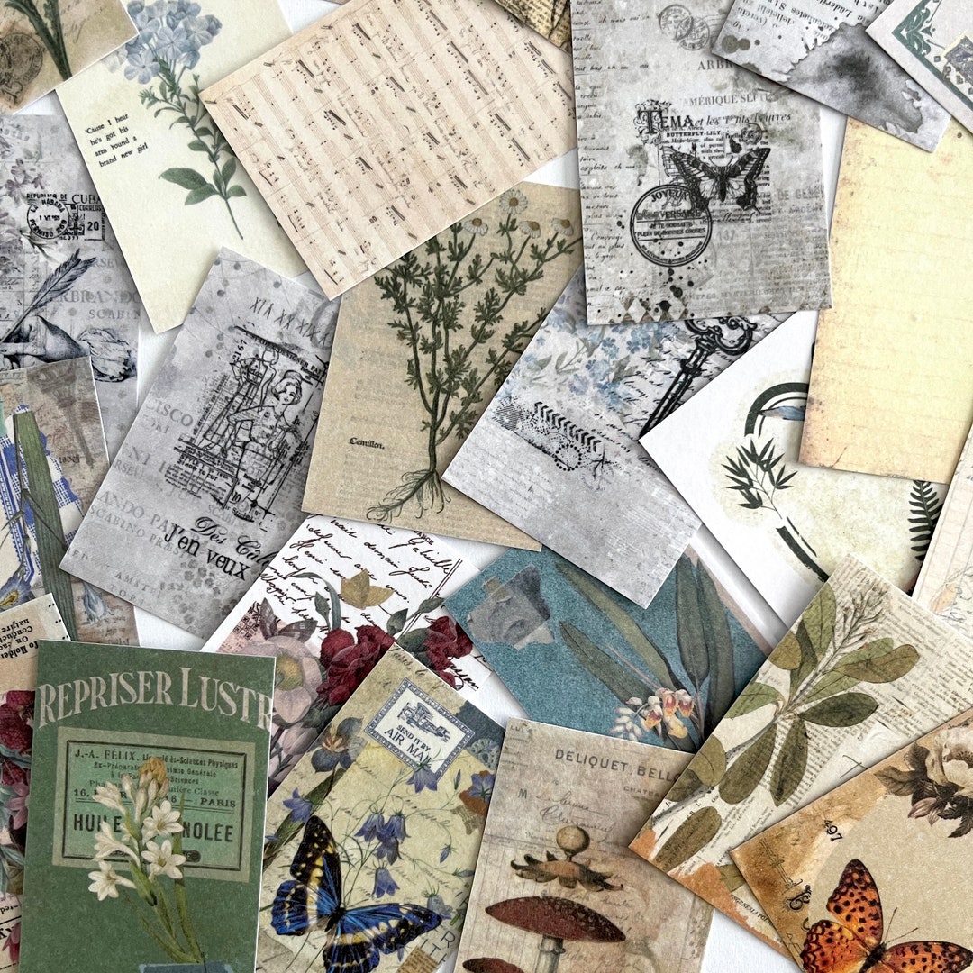 50 Vintage Paper Stickers - Paris Floral Butterfly Writing Stickers ...