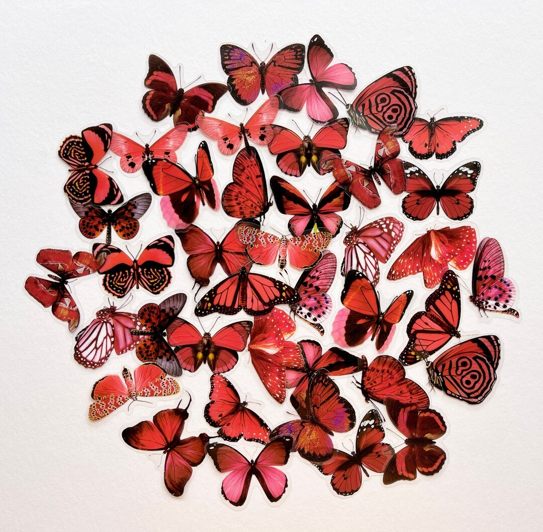 40 Translucent Red Butterfly Stickers - Beautiful Butterfly Stickers ...