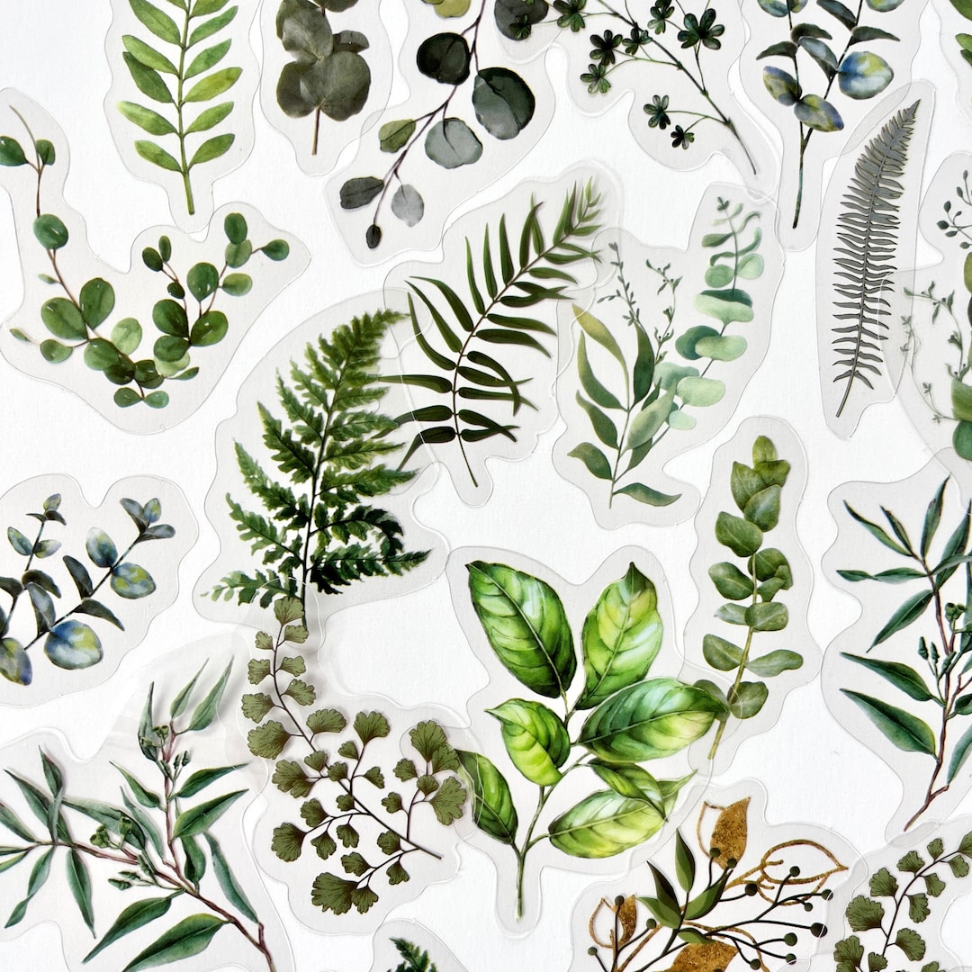 40pcs Green Plant Stickers, Translucent Fern Leaf Designs, for Crafting ...