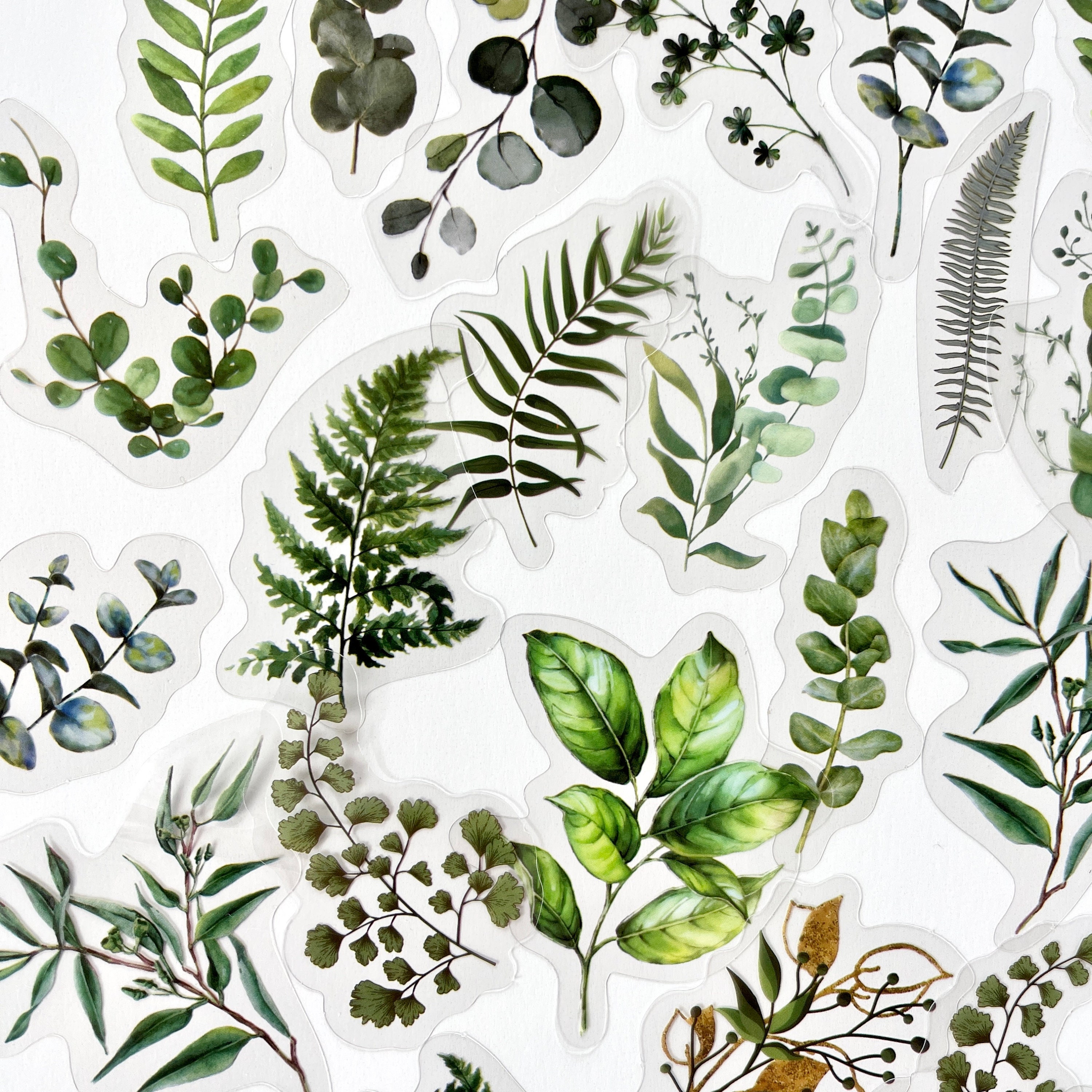 40pcs Green Plant Stickers, Translucent Fern Leaf Designs, for Crafting ...
