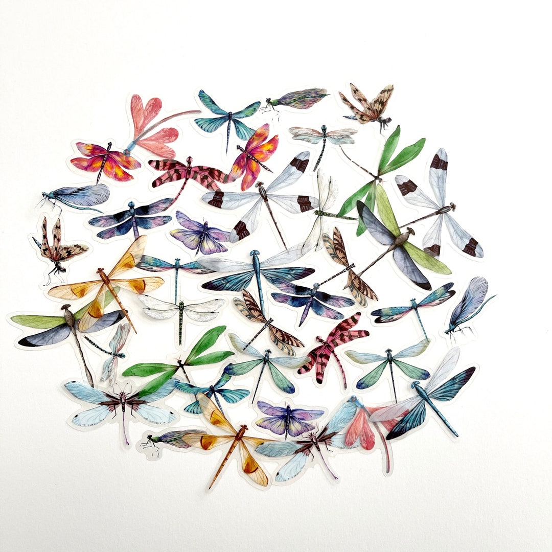 40 Translucent Dragonfly Stickers - Beautiful Multi Colored Dragonfly ...