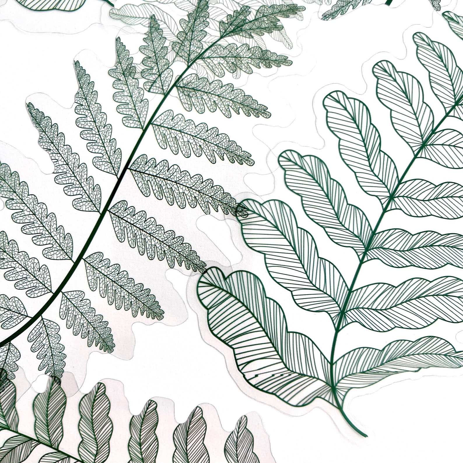10pcs Translucent Green Line Art Leaf Stickers - Large Long Sticker ...