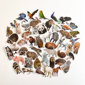 50 Animal Stickers - Forest Woods Farm Jungle Domestic Animal Stickers ...