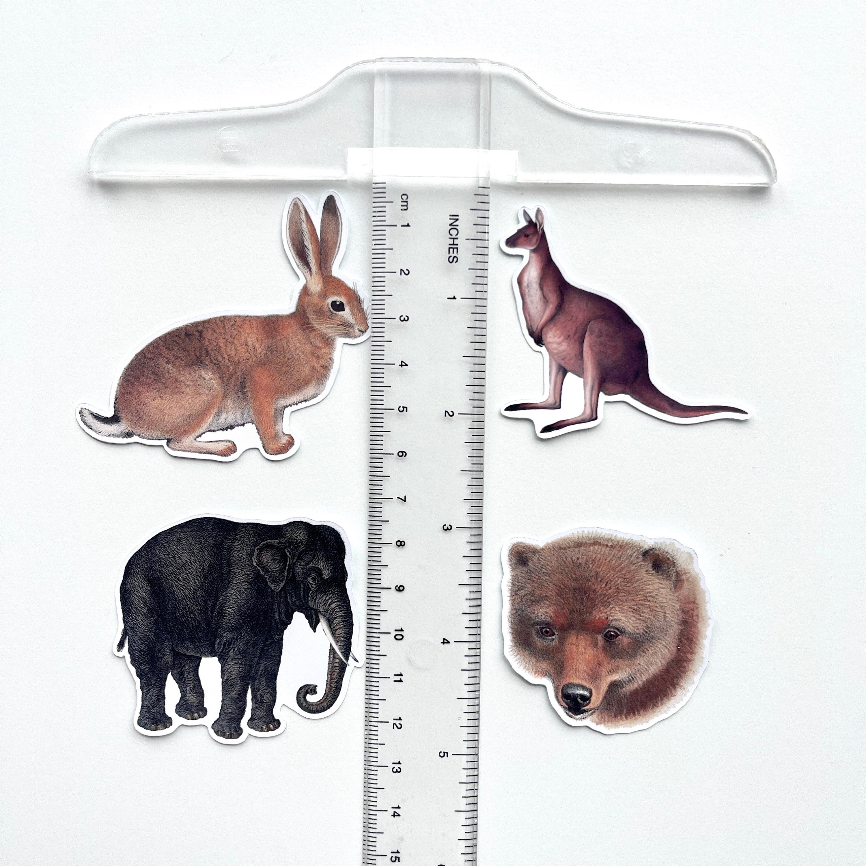 19 Vintage Animal Stickers - Zoo Animal Matte Vintage Feel - Super ...