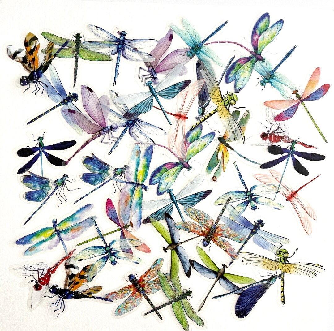 40 Watercolor Dragonfly Stickers - Translucent Multi Colored Dragonfly ...
