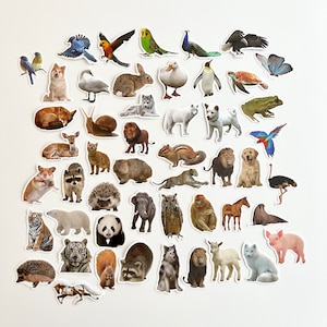 50 Animal Stickers - Forest Woods Farm Jungle Domestic Animal Stickers ...