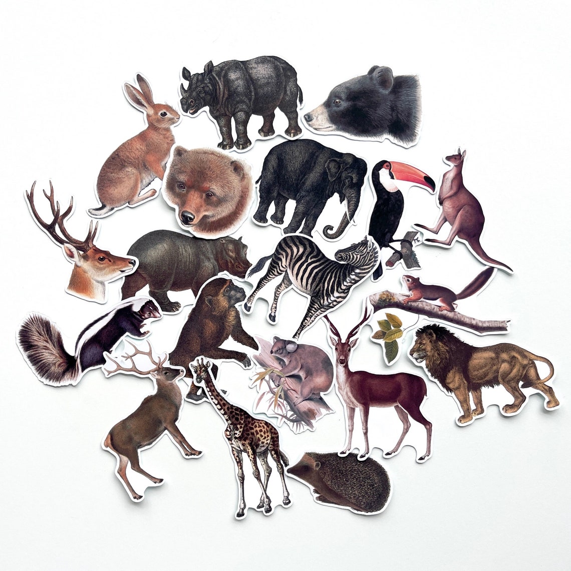 19 Vintage Animal Stickers - Zoo Animal Matte Vintage Feel - Super ...