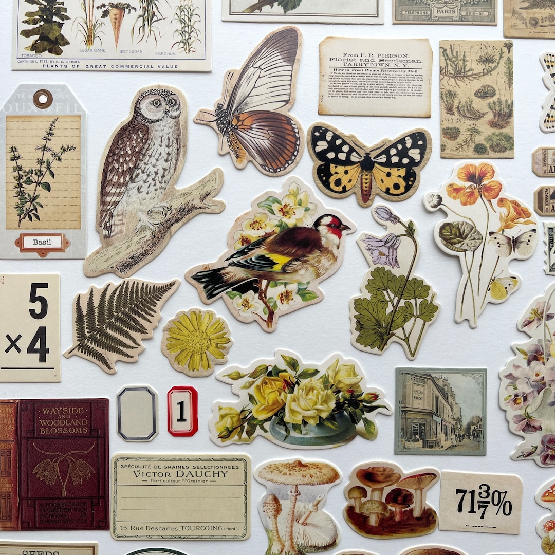 55+ Vintage Garden Flower Bird Butterfly Thick Paperboard Pieces ...
