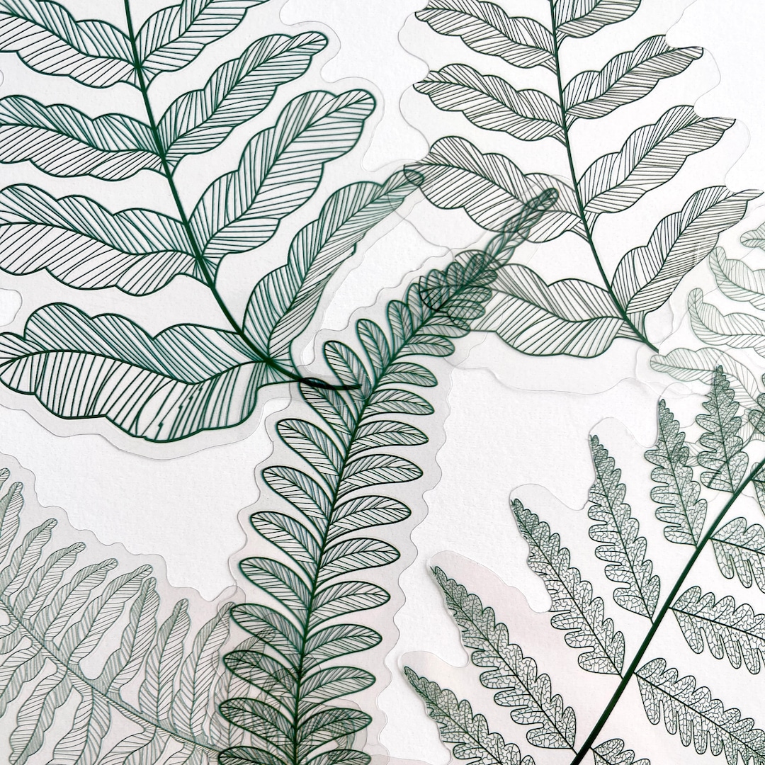 10 LARGE Translucent Green Line Art Leaf Leaves Sticker - Clear Backing ...