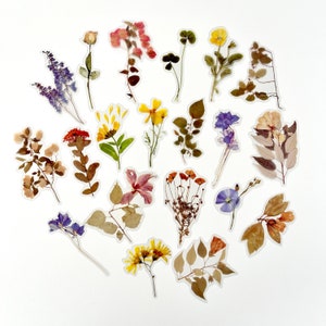 40 Clear Fall Colors Plant Flower Stickers - Beautiful Translucent ...