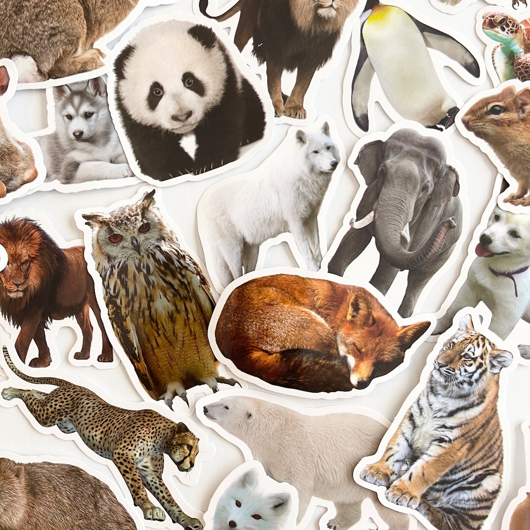 50 Animal Stickers - Forest Woods Farm Jungle Domestic Animal Stickers ...