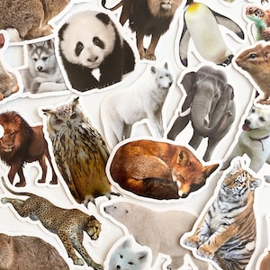 50 Animal Stickers - Forest Woods Farm Jungle Domestic Animal Stickers ...