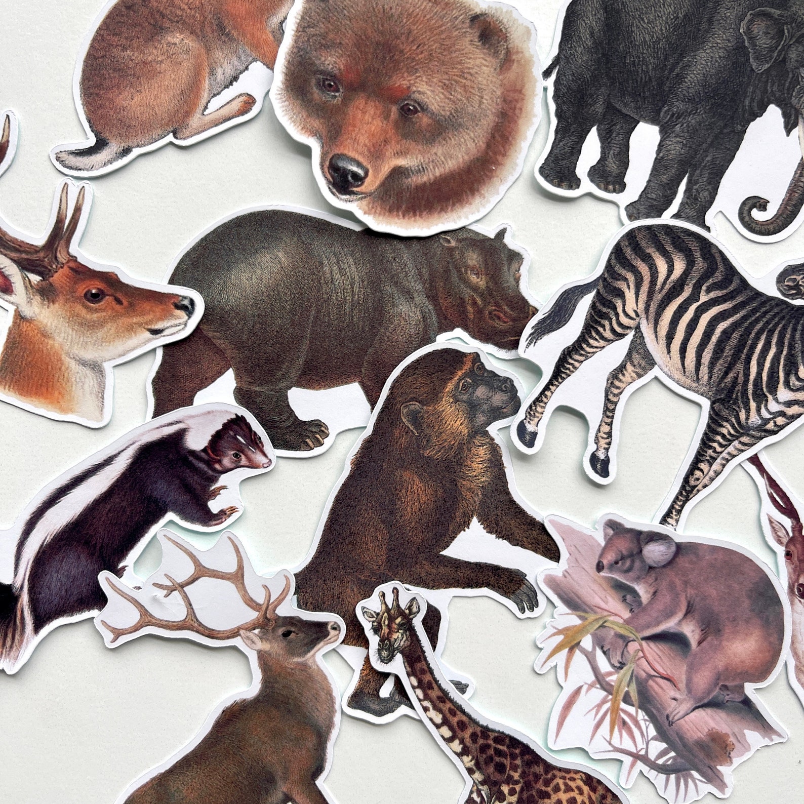 19 Vintage Animal Stickers - Zoo Animal Matte Vintage Feel - Super ...