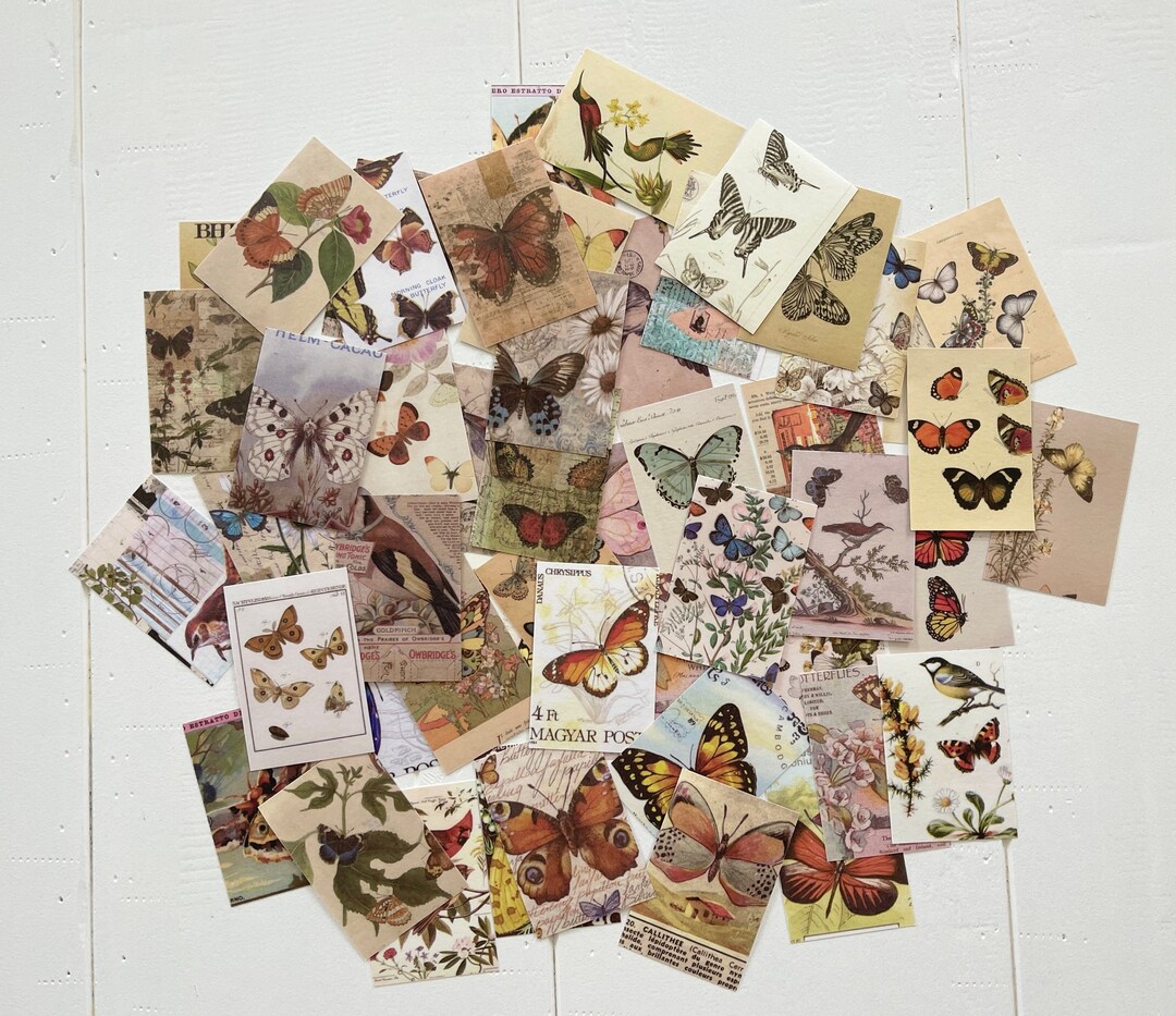 50 Vintage Butterfly Paper Stickers Beautiful Matt Finish - Etsy