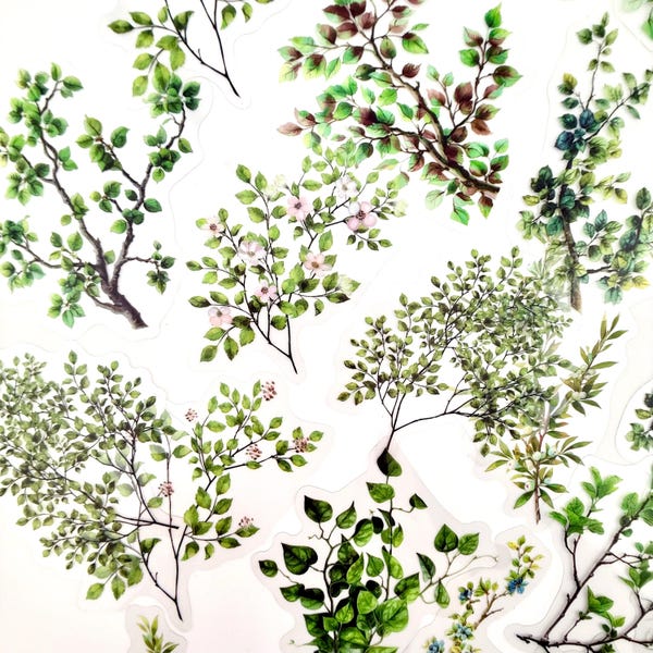 Branch Decal - Etsy