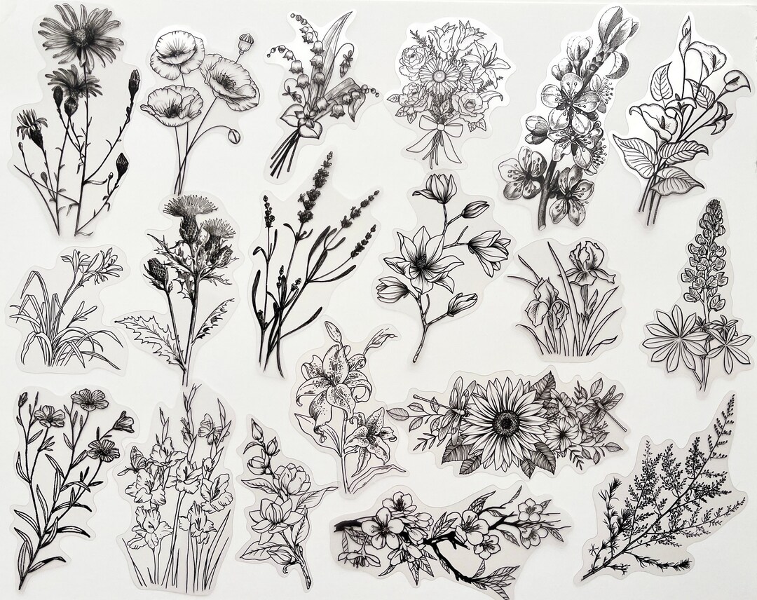 20 LARGE Translucent Black Line Art Flower Stickers - Clear Backing ...