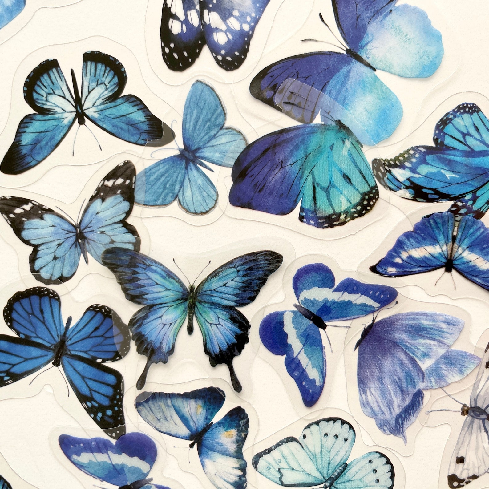 40 Clear Blue Translucent Butterfly Stickers - Clear Blue Butterfly ...