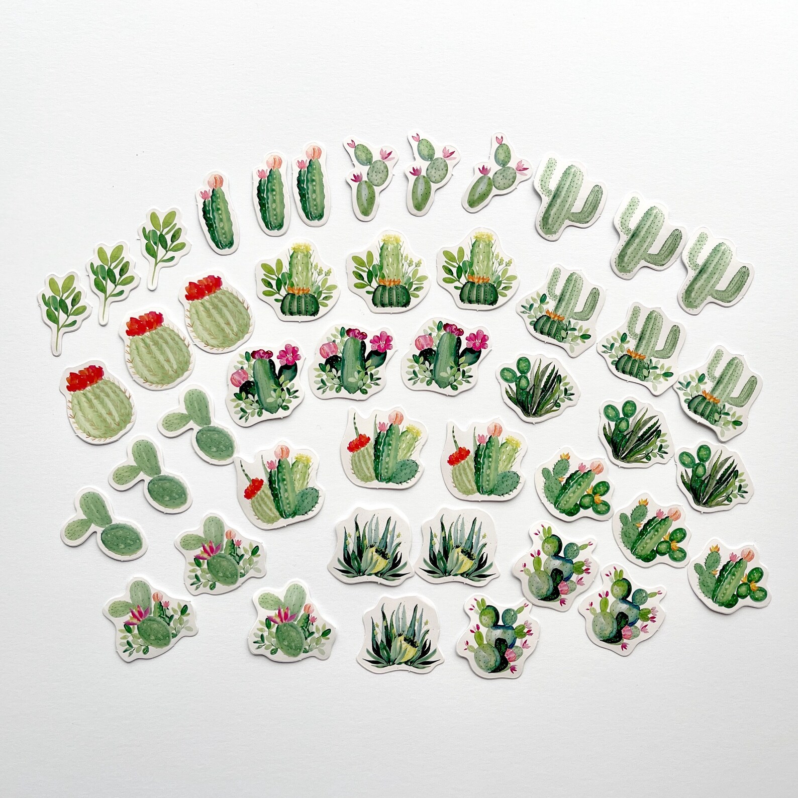 45 MINI Cactus Succulent Stickers - Adorable Petite Floral Cactus ...
