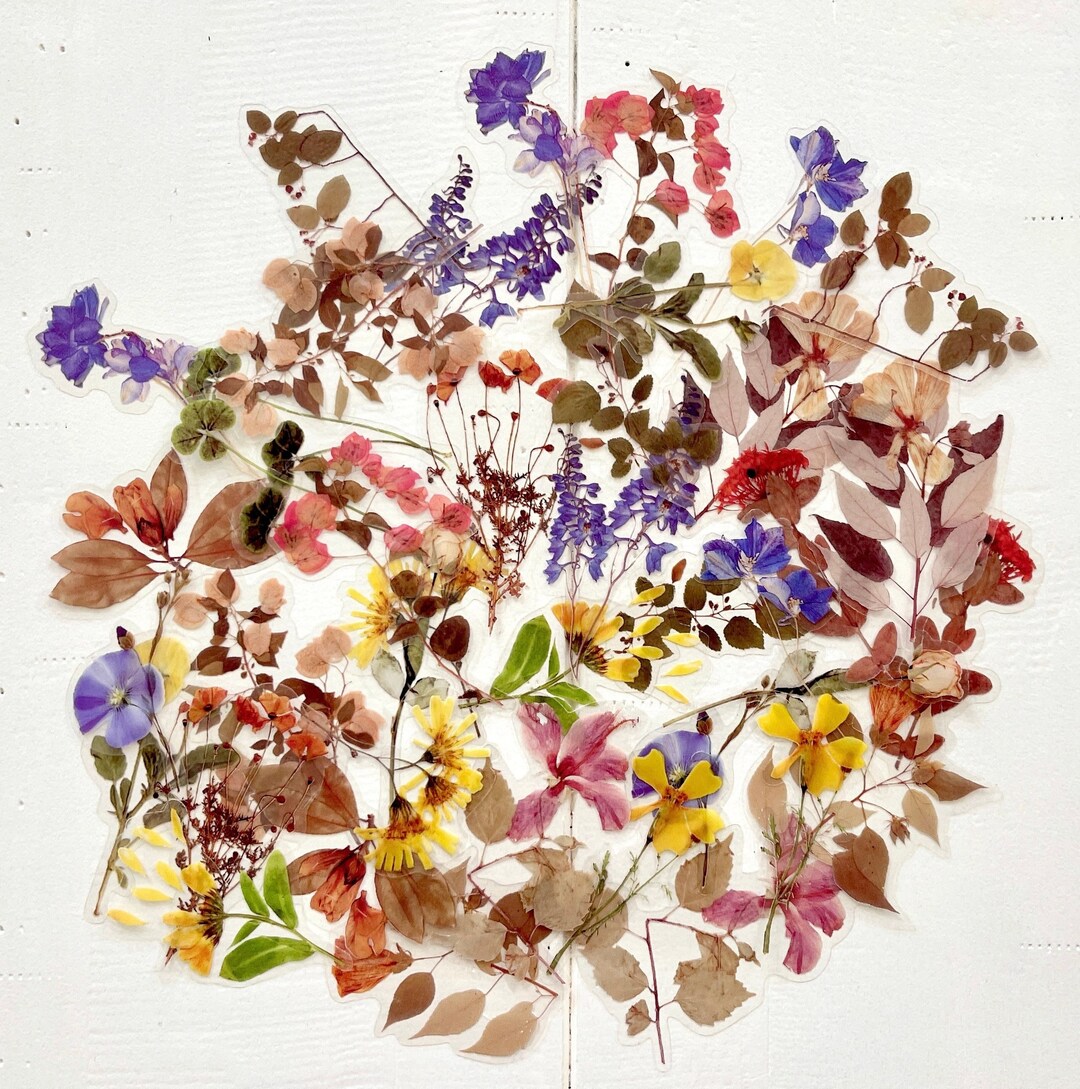 40 Clear Fall Colors Plant Flower Stickers Beautiful Translucent Autumn ...