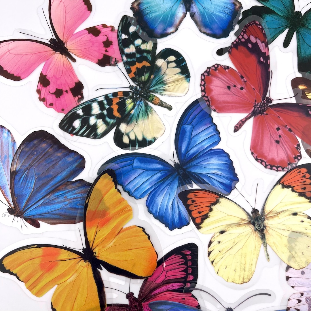 Large Translucent Butterfly Stickers - Colorful Designs - for Crafting ...