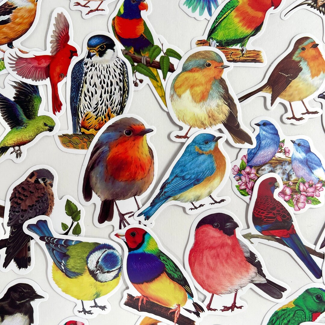 50 Colorful Bird Stickers - Various Birds, Owls, Parrot Stickers ...