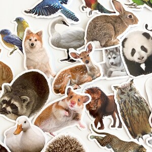 50 Animal Stickers - Forest Woods Farm Jungle Domestic Animal Stickers ...