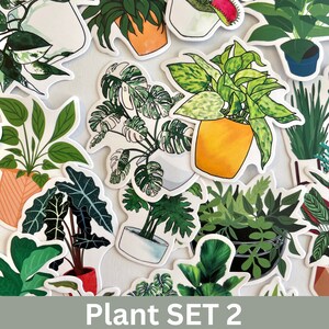 Boho Plant Stickers - House Plant Stickers - Love of Plants Stickers ...