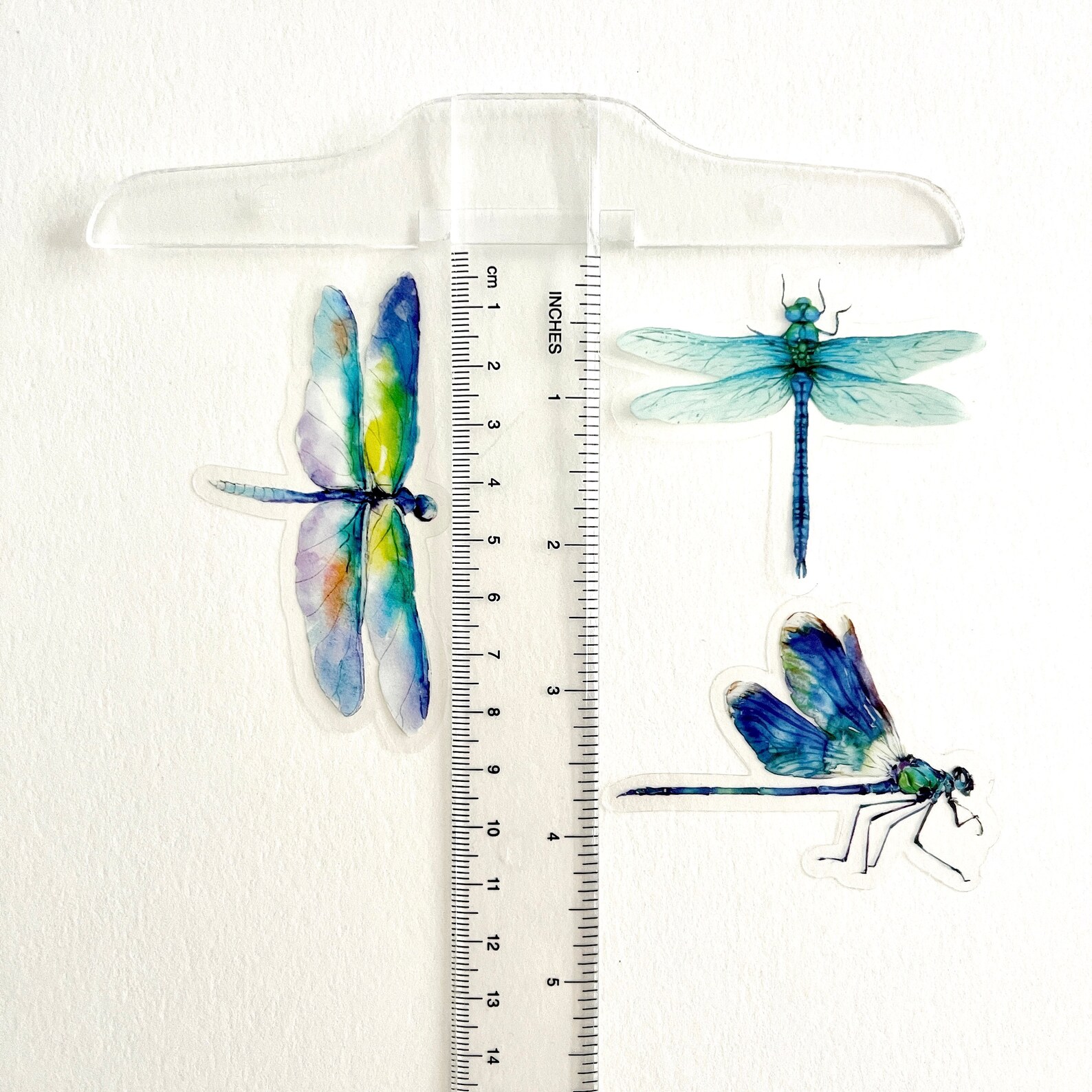 40 Watercolor Dragonfly Stickers - Translucent Multi Colored Dragonfly ...