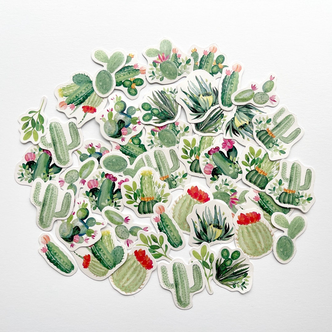 45 MINI Cactus Succulent Stickers - Adorable Petite Floral Cactus ...