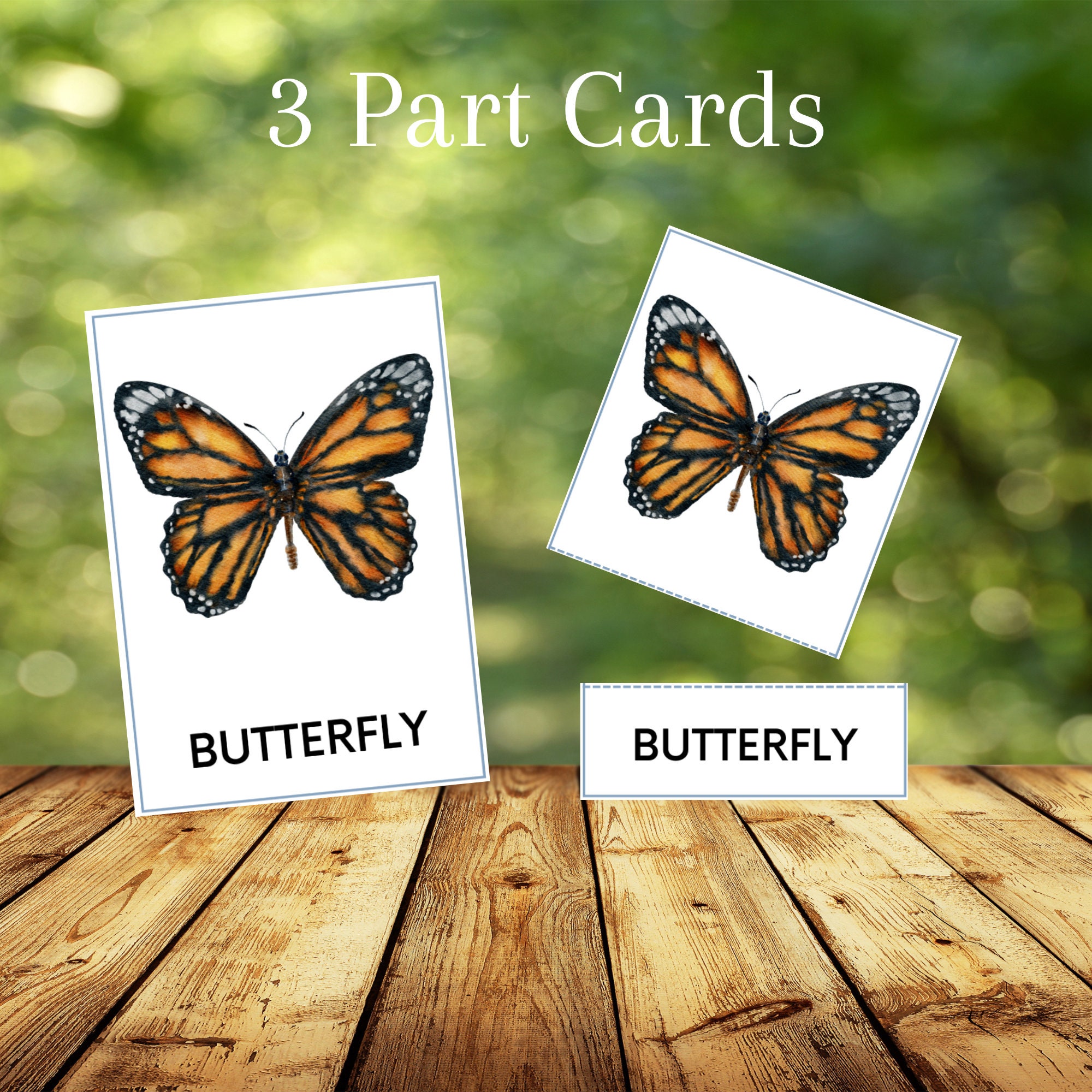Montessori 3 Part Summer Flashcards, Summer Activity, Montessori Work ...