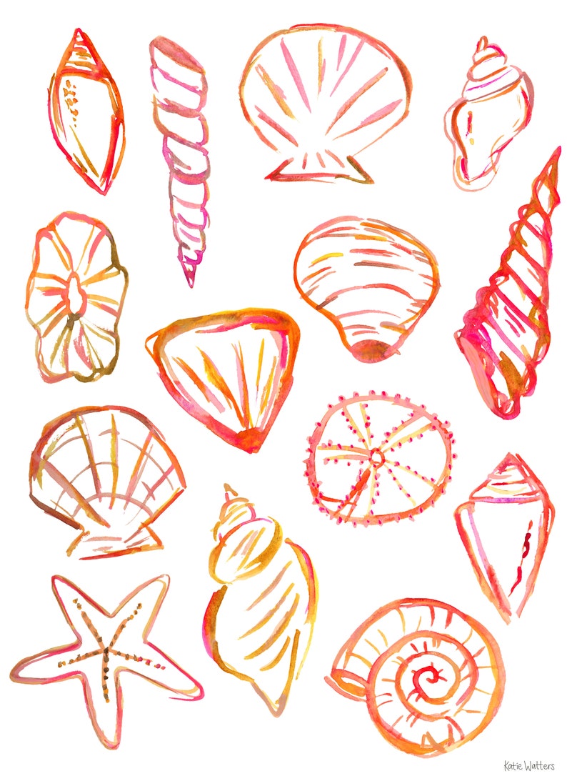 Watercolor Pink Seashell Greeting Card, Summer Thank You Card - Etsy