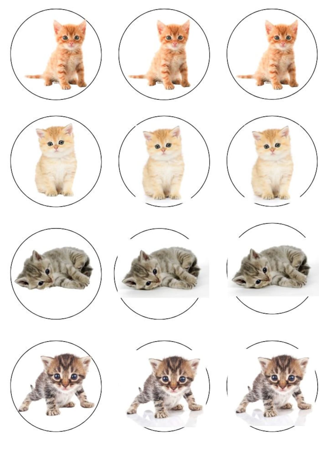 Cute Kittens Edible Image Birthday Cake Cupcake Cookie Topper ...