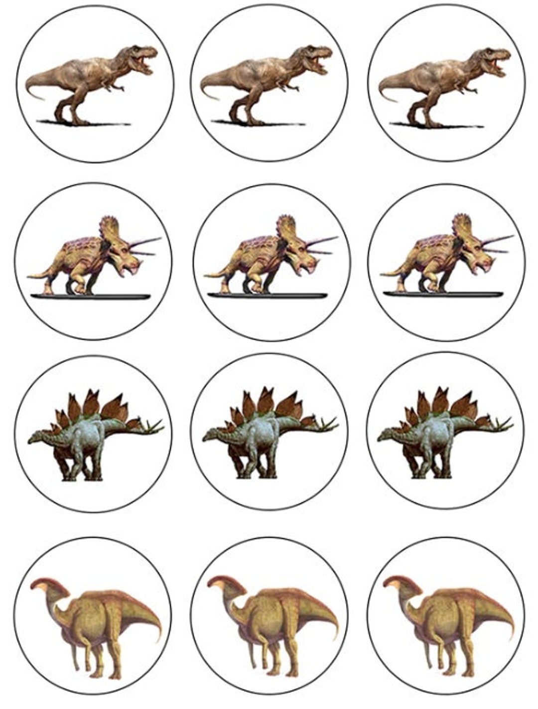 Realistic Dino Dinosaur Birthday Party Edible Image Cupcakes or Cookies ...