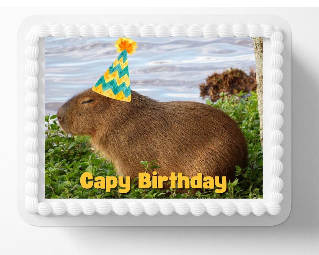 Capybara Animal Image Edible Cake Topper Frosting Sheets Funny Edible ...