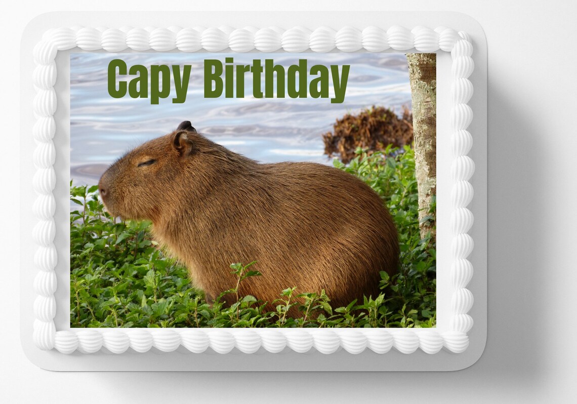 Capybara Animal Image Edible Cake Topper Frosting Sheets Funny - Etsy