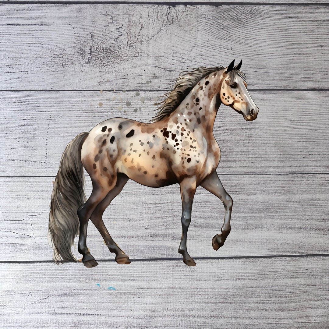 5 Horse Clipart Files, Appaloosa PNG JPG PDF Digital File, Printable ...