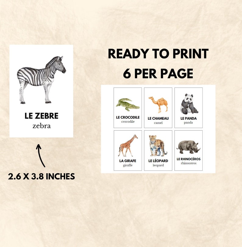 French-english Bilingual Wild Animals Flashcards, Flashcards Bilingues ...