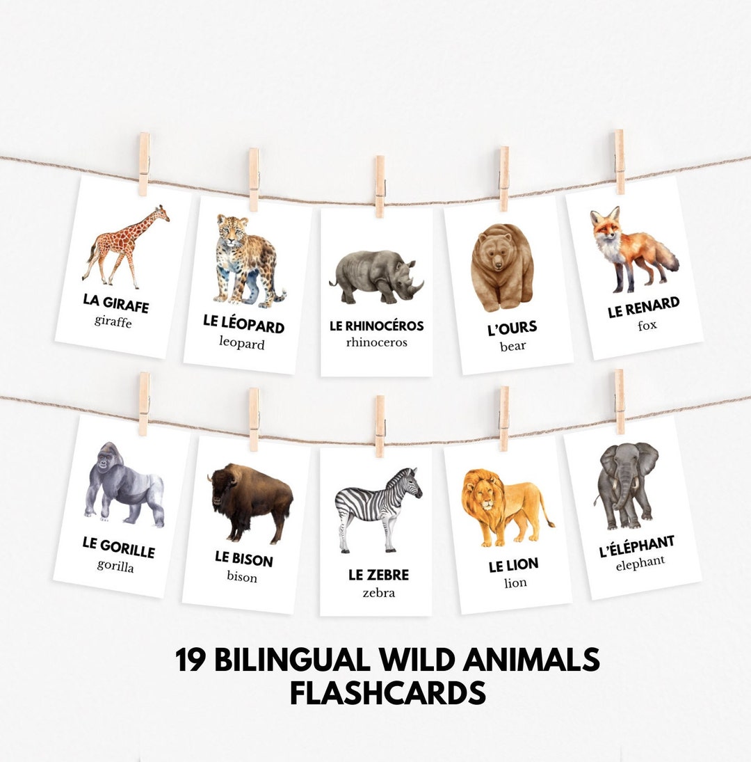 French-english Bilingual Wild Animals Flashcards, Flashcards Bilingues ...