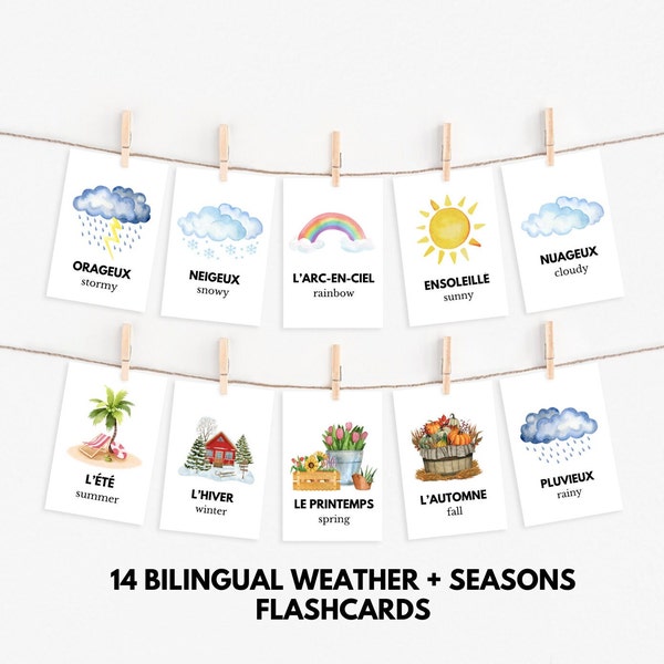 France Flashcards - Etsy